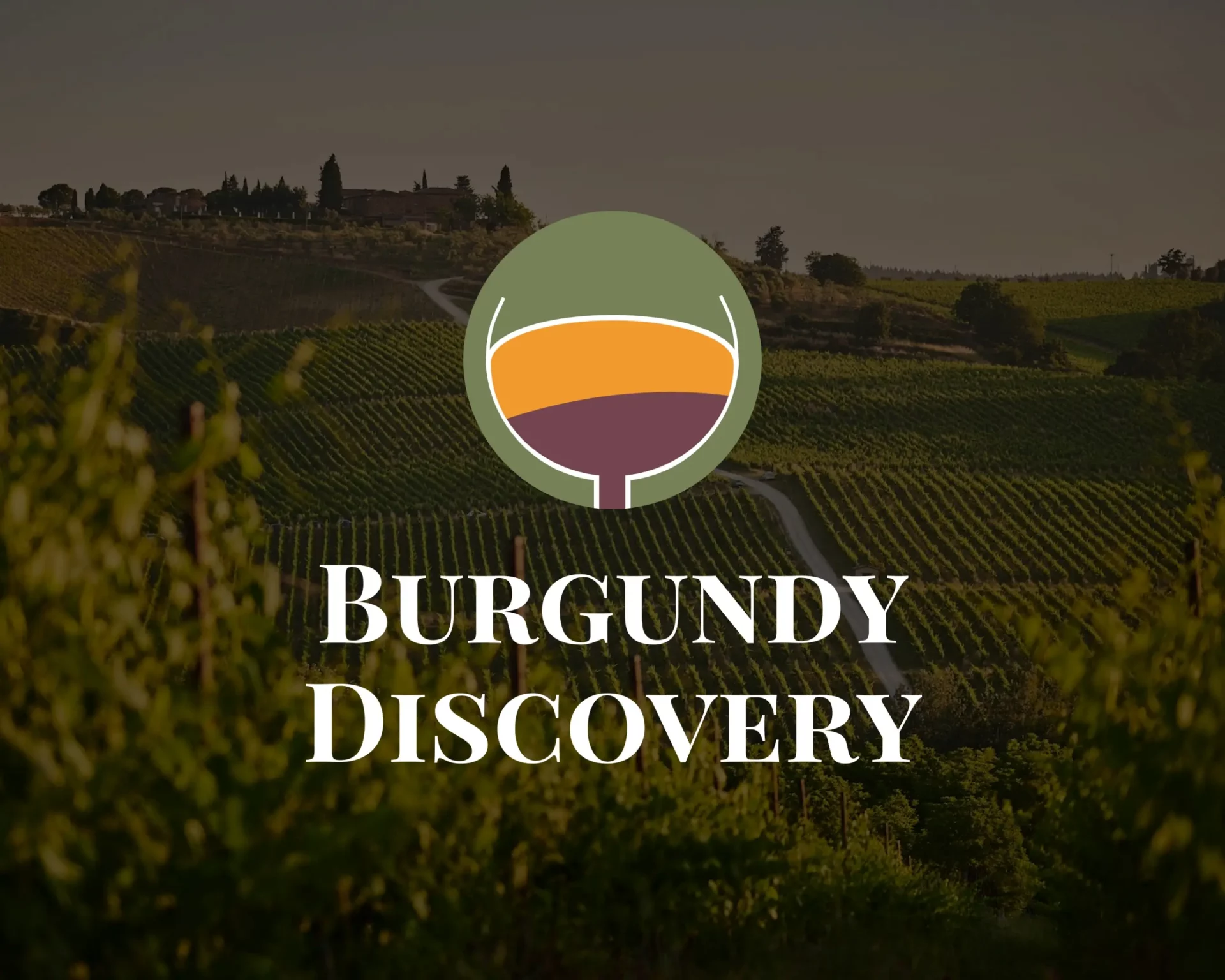 Wine tours - Burgundy Discovery